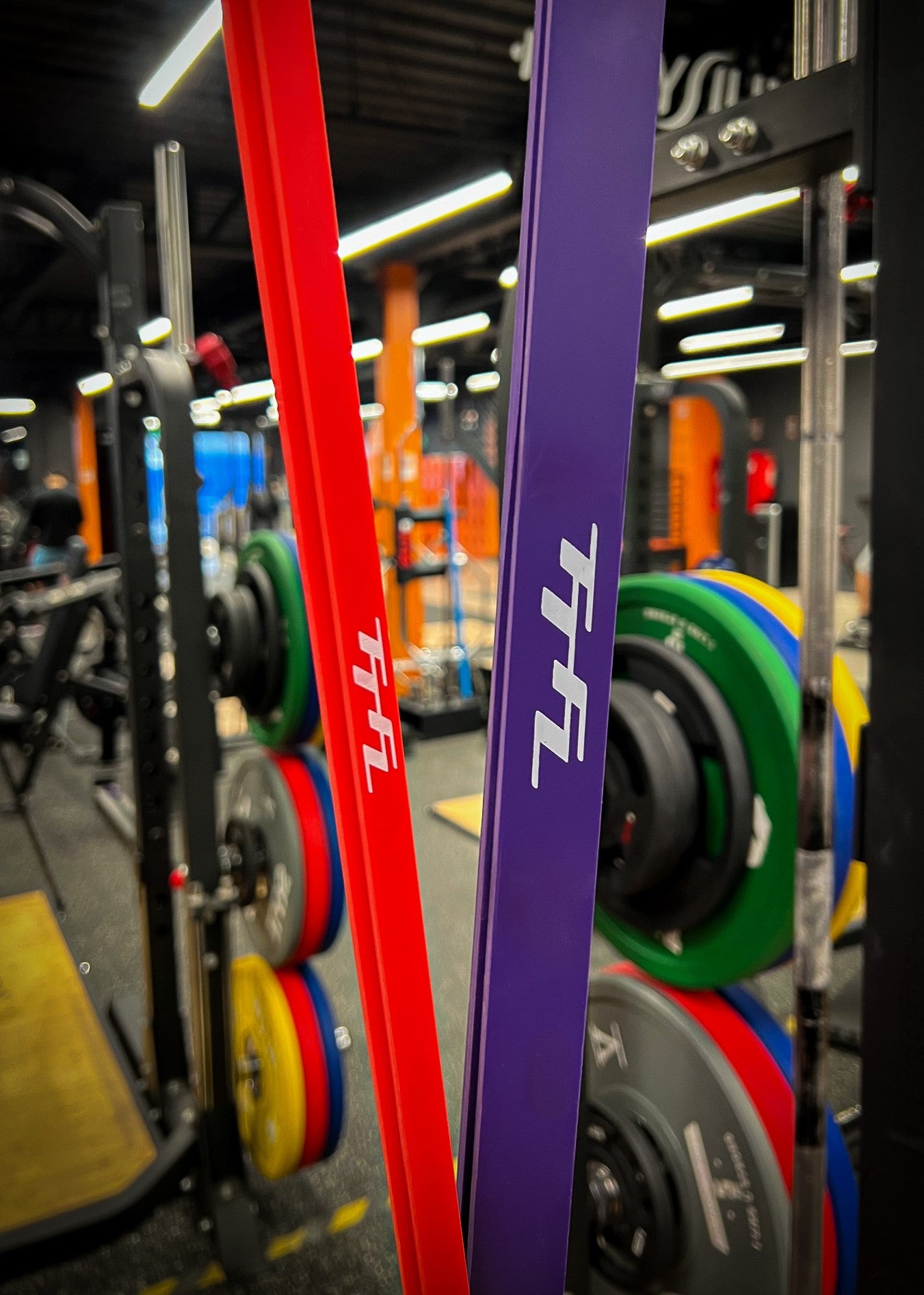 Bandas de resistencia – TTFL Store